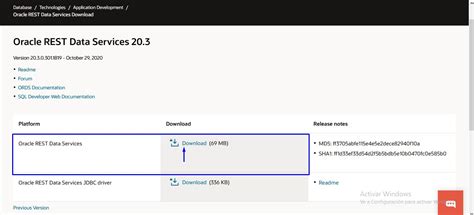 Cómo Instalar Oracle Apex 20 2 O Superior En Oracle Database 18c 21c Xe Bajo Windows