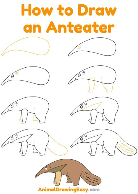 How To Draw An Anteater Artofit