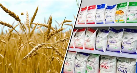 Гурил гурилан бүтээгдэхүүний үнэ 25 50 хувиар өссөн байна МОНГОЛ ТВ