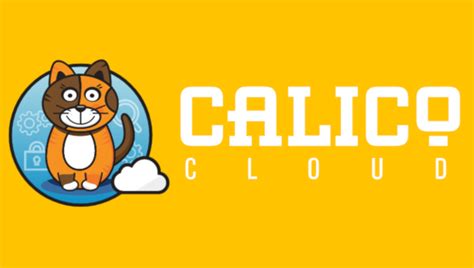 Project Calico Kubernetes Security As Saas The New Stack