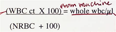Test To Evaluate WBC WBC Morphology Flashcards Quizlet