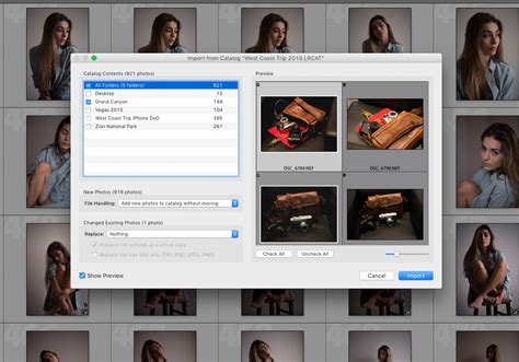 How To Move Images From One Lightroom Catalogue To Another