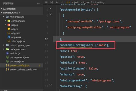 自定义构建npm 集成sassnpm Sass Csdn博客