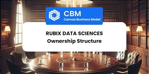 Who Owns Of Rubix Data Sciences Canvas Swot Pestel And Bcg Matrix