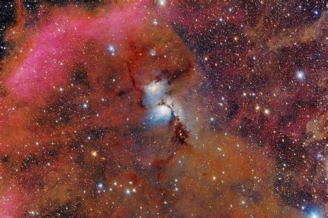Celestron 8 Rasa Astrophotography Telescope Opt