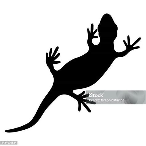 도마뱀 파충류 게코 블랙 실루엣 벡터 일러스트레이션 흰색 배경에 고립 된 간단한 검은 실루엣 그림 책 스티커 포스터 카드 옷을