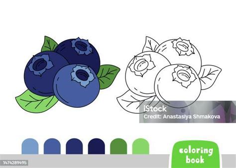 어린이를위한 색칠하기 책 책에 대 한 블루 베리 페이지 잡지 색칠 벡터 일러스트 레이 션 블루베리에 대한 스톡 벡터 아트 및 기타 이미지 블루베리 일러스트레이션