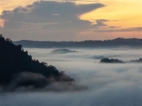 Premium Photo Aerial View Of Sunrise Over Danum Valley Rainforest In