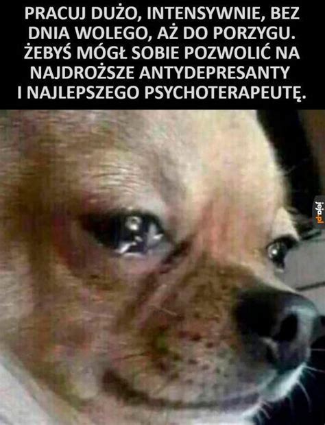 Pracuj Ciężko Może Się Wyleczysz Jejapl