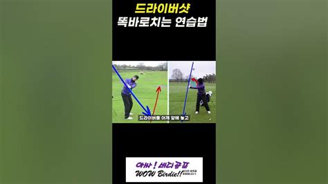 드라이버샷 똑바로치기 드라이버 방향성잡기 Youtube