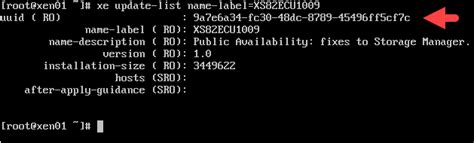 Installation Xenserver Updates Using Gui Or Cli Sander De Valk