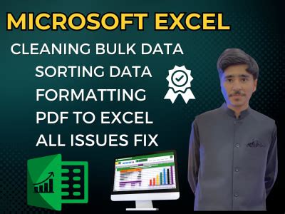 Data Cleaning Editing Sorting Or Formatting And Editing Excel Upwork