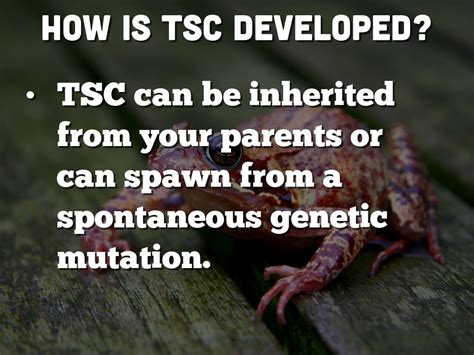 TSC By Blake Rodgers