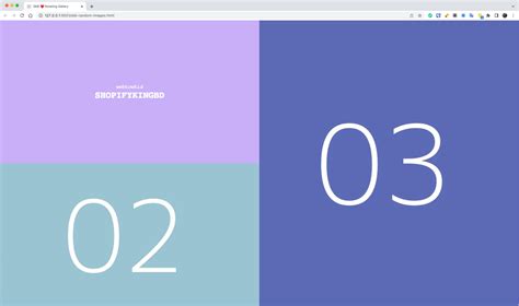 Github Shopifykingbdskb Random Grid Gallery This Image Gallery Is Build Using Css Grid