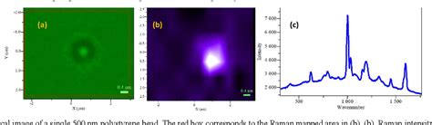 Figure 1 From Chemical Imaging Of Microparticles With Raman Ftir And Quantum Cascade Laser