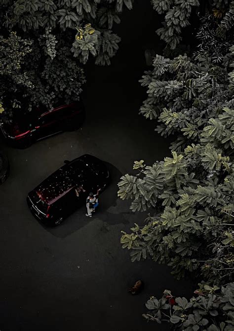 Reddit Is Laggy Scrolling And Even Typing This Title Is So Laggy Riphone13