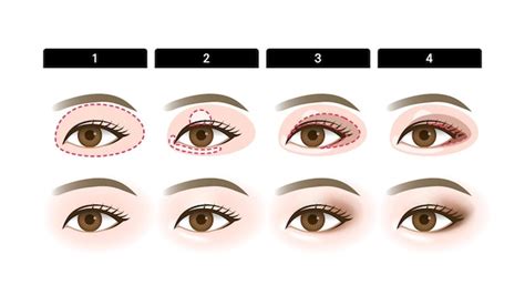 Premium Vector Eye Shadow Makeup Manual How To Apply Eye Shadow