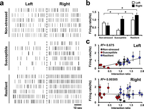 Distinct Neuronal Firing Patterns In The Left And Right Mpfc Of