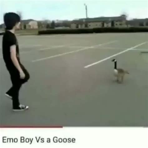 Emo Bo Vs And Goose Ifunny