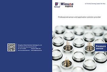 Download Winsen Electronics