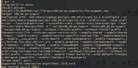 C Creating A Vector Of Std Thread Causes Runtime Error In G But Runs Fine In Visual