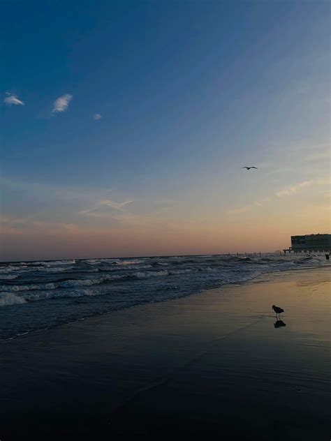 Хөдөлмөр зуслан ЗУСЛАНГИЙН 2 дахь өдөр Өглөө эртлэн босож 04 цагаас Малчин айл руу явж хотоо