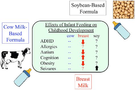 Infant Formula And Disease As Many As 25 Of Infants Consume Download Scientific Diagram