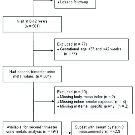 Flowchart Of Participant Selection And Analytic Subsets Download Scientific Diagram