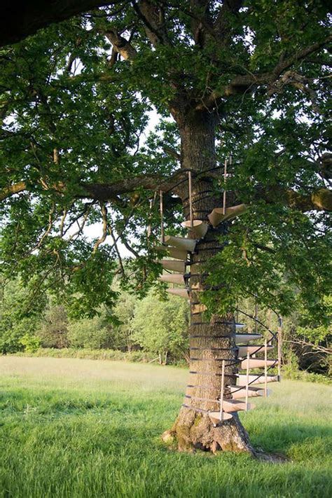 How To Build A Treehouse In The Backyard