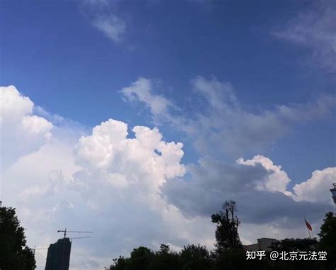 员工拒绝调岗，用人单位是否可以解除劳动合同？ 知乎