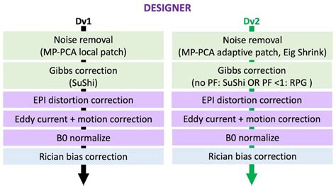 designer nyu diffusion biophysics docs