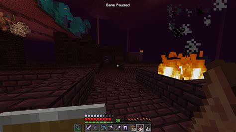 Today I Found Out You Can Pause The Game Without Showing The Menu By Pressing F3 Esc Rminecraft