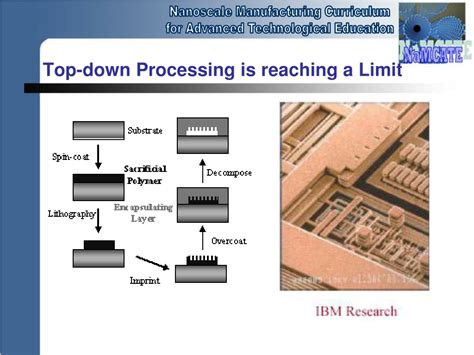 Top Down Processing Gilitrabbit