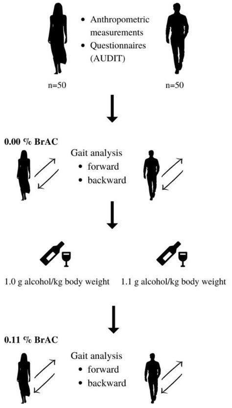 The Data Collection Design Canva Download