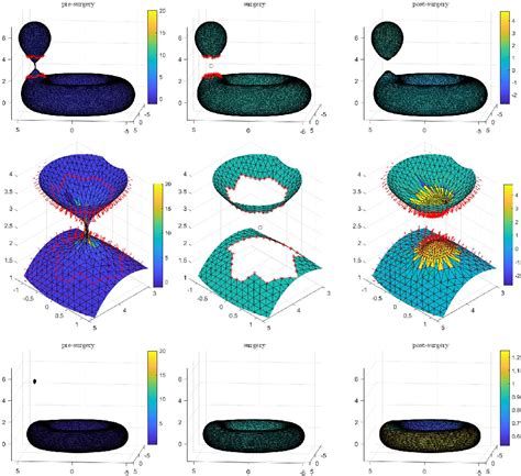 Figure From Numerical Surgery For Mean Curvature Flow Of Surfaces Semantic Scholar