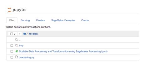 Scalable Data Processing And Transformation Using Sagemaker Processing Part 2 Of 2