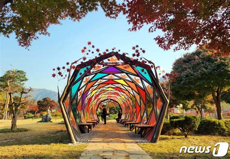 인생샷 남기려면 내장산으로…정읍시 사진찍기 좋은 명소 조성