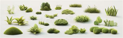 Realistic 3d Model Green Plants Lush Foliage Nature Art Moss Grass