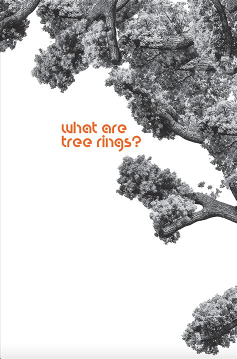 What Are Tree Rings On Behance