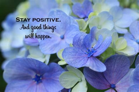 Blue Flower Quotes
