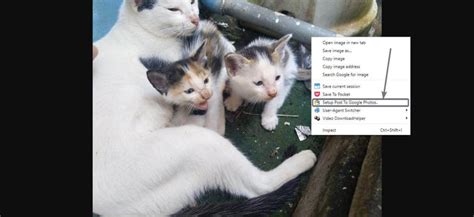 How To Save Images Directly To Google Photos From Chrome Browser