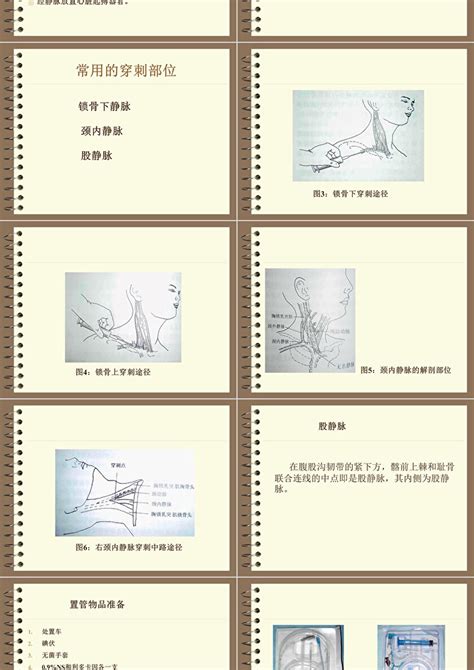 中心静脉压及周围静脉压的测定及临床意义ppt模板 卡卡办公