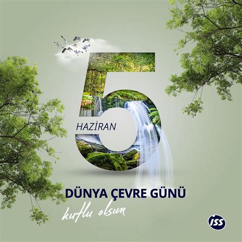 Sebiha Elbir Posted On Linkedin