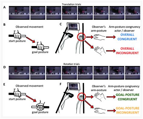 1 Action Prediction Task On Each Trial Participants Were Shown Download Scientific Diagram
