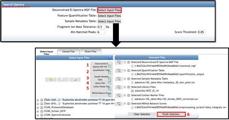 Gc Ms Library Search And Molecular Networking Gnps Documentation