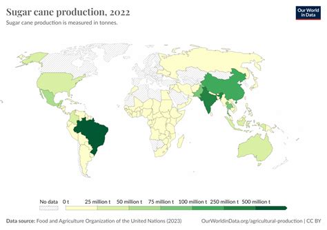 Sugarcane Production Of Pakistan Vs The Global Leaders