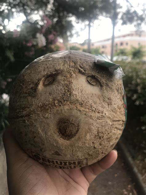 Sad Coco Rpareidolia