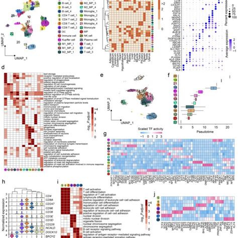 Association Of Single Cell Transcriptomic Profiles With Complex