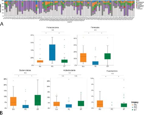 Microbiome Communities Among Pc St And Du Tissues A Bar Plots Of Download Scientific