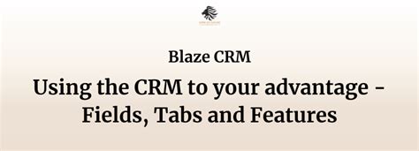 3b Crm 2 Using The Crm To Your Advantage Fields Tabs And